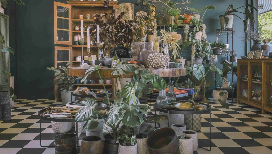 Florist Launceston | Flower Delivery | Florage Tasmania